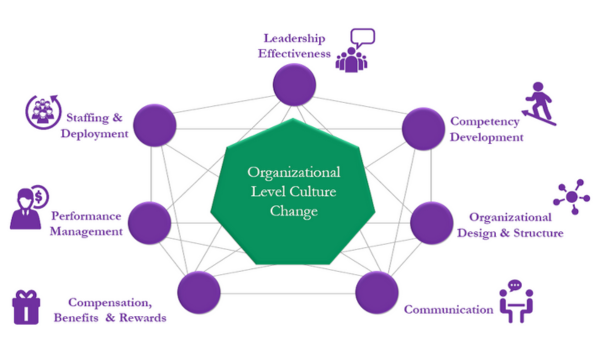 Insights From BTOES: What is cultural transformation