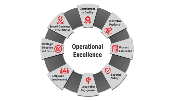 Insights From BTOES: Achieving Effective Operational Excellence in a ...