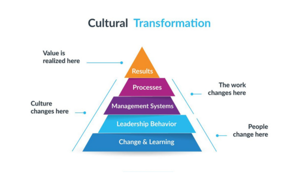Insights From BTOES: Achieving Effective Cultural Transformation in a ...