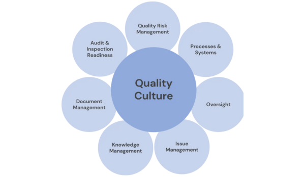 Unlocking Success: The Importance of Cultural Transformation