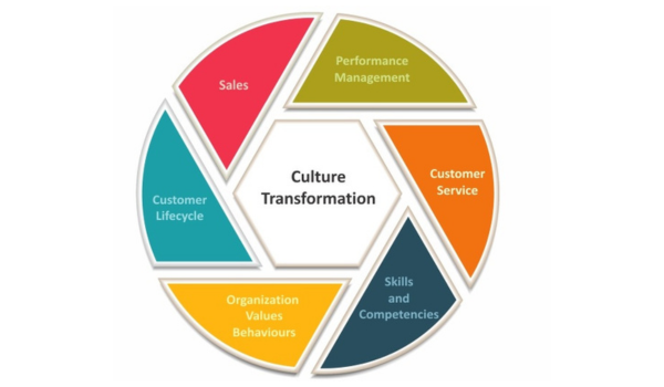 Leading a Successful Cultural Transformation: Tips and Strategies