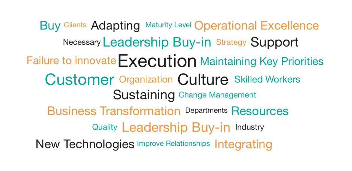 Research Report - The Global State of Operational Excellence: Critical ...