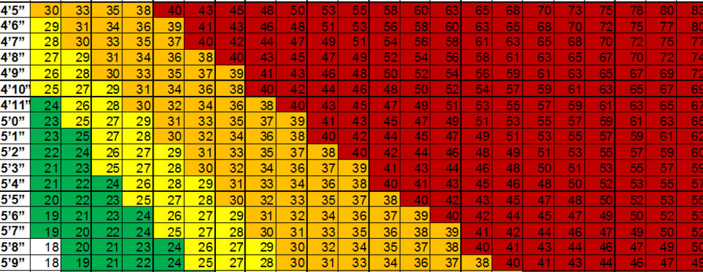ARTICLE: Lean and the BMI ( Body Mass Index ) Analogy for Manufacturing