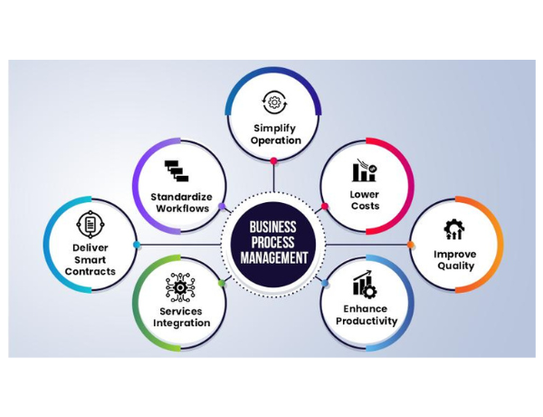 Maximizing Efficiency with Business Management Processes