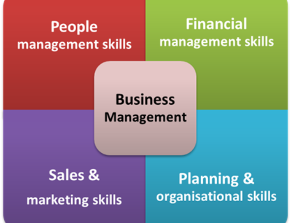 Mastering Business Management Processes
