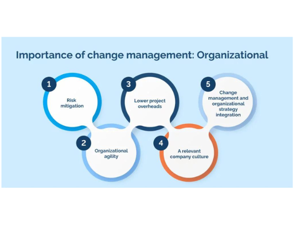 The Importance of Change Management in Today's Business World