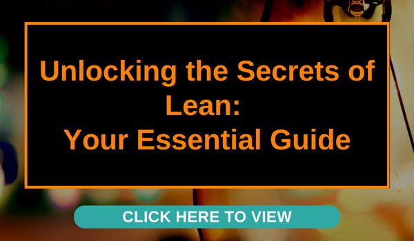 Building a Lean Startup: Embracing Lean Principles