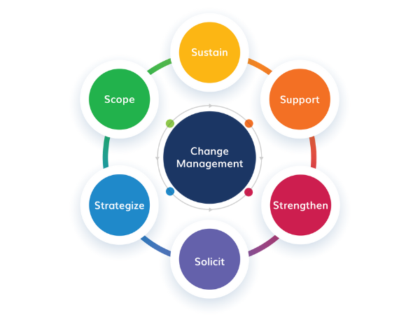 Effective Change Management Strategies for Success